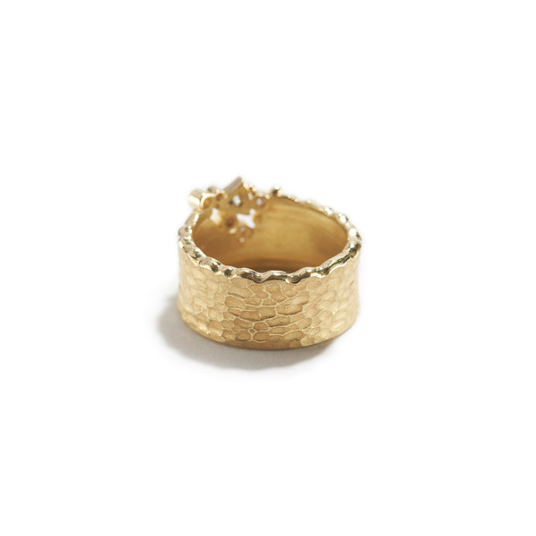 Trillion Diamond Crevasse Ring by Barbara Heinrich | _18K _Forged in ...